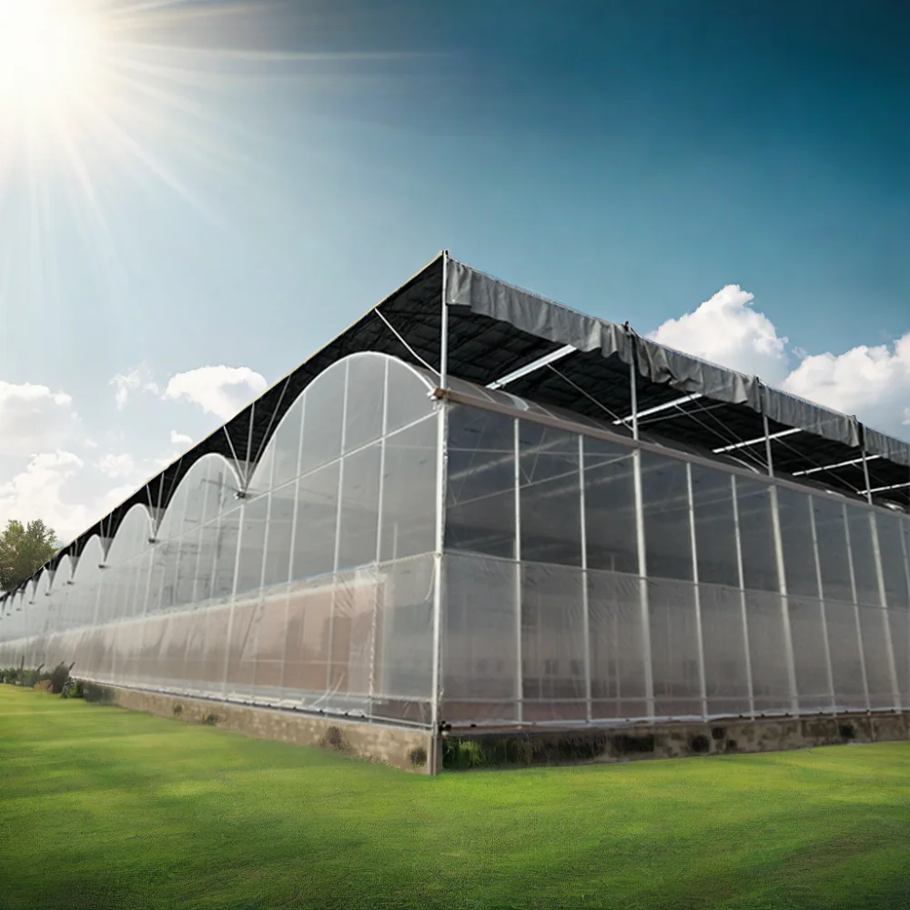 Large Multi-span Film Greenhouse Agricultural Equipment For Hydroponic ...