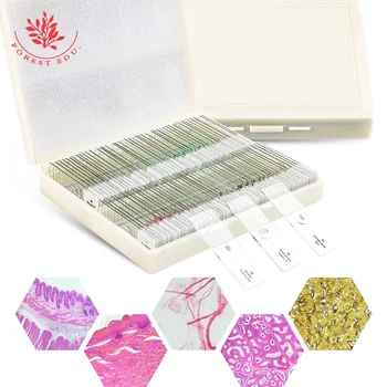 Normal Anatomy 100 Pieces Tissue Skilled Technicians Made Prepared ...