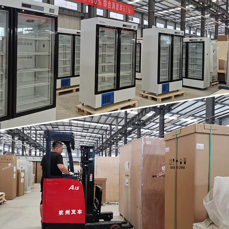 BIOBASE China Ultra Low BDF-86V168T Touch Screen 168L Freezer