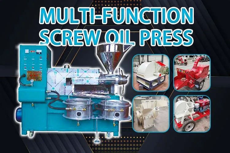 Oil Press Machine Cool Press Coconut Cooking Corn Oil Machine Hazelnut ...