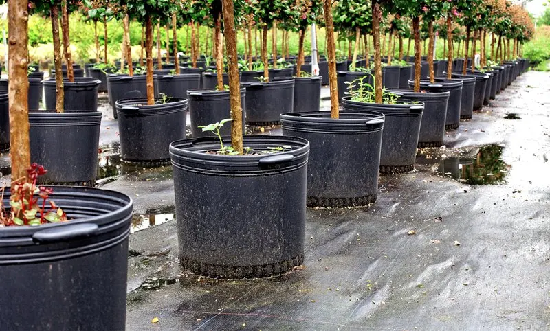Durable Nursery Pots - Yuncheng 1 to 25 Gallon Options