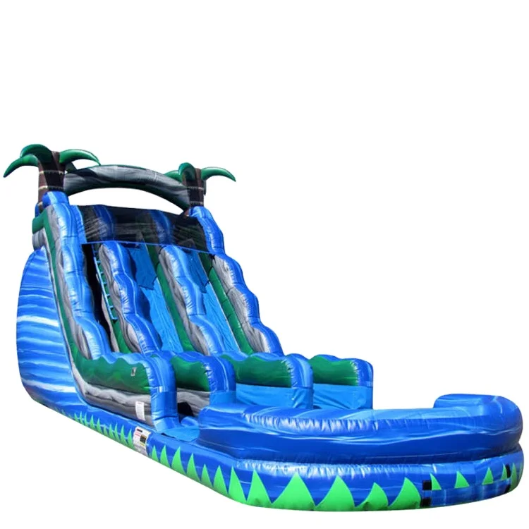 Tropical Tsunami Dual Lane Inflatable Water Slide/ Waterslide for Adult ...