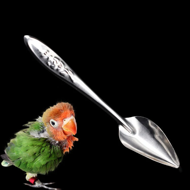 Stainless Steel Bird Feeder Spoons Parrot Feeding Scoops Hand Feeding ...