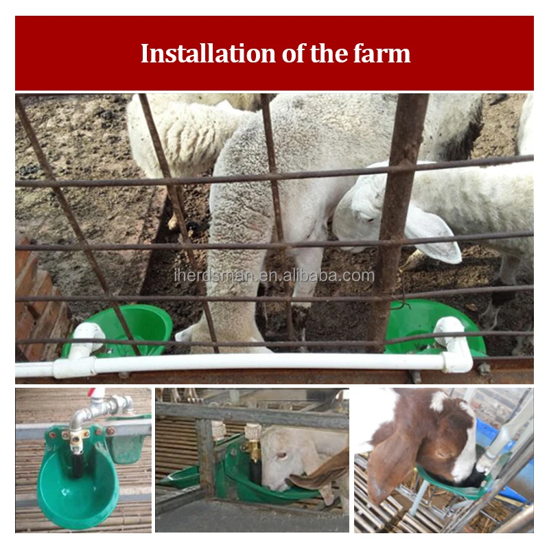 Durable Copper Valve Sheep Water Feeder Bowl - Automatic Control