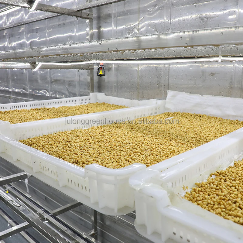 Greenhouse Supplies Smart Farm Growing Shipping Container Hydroponic ...