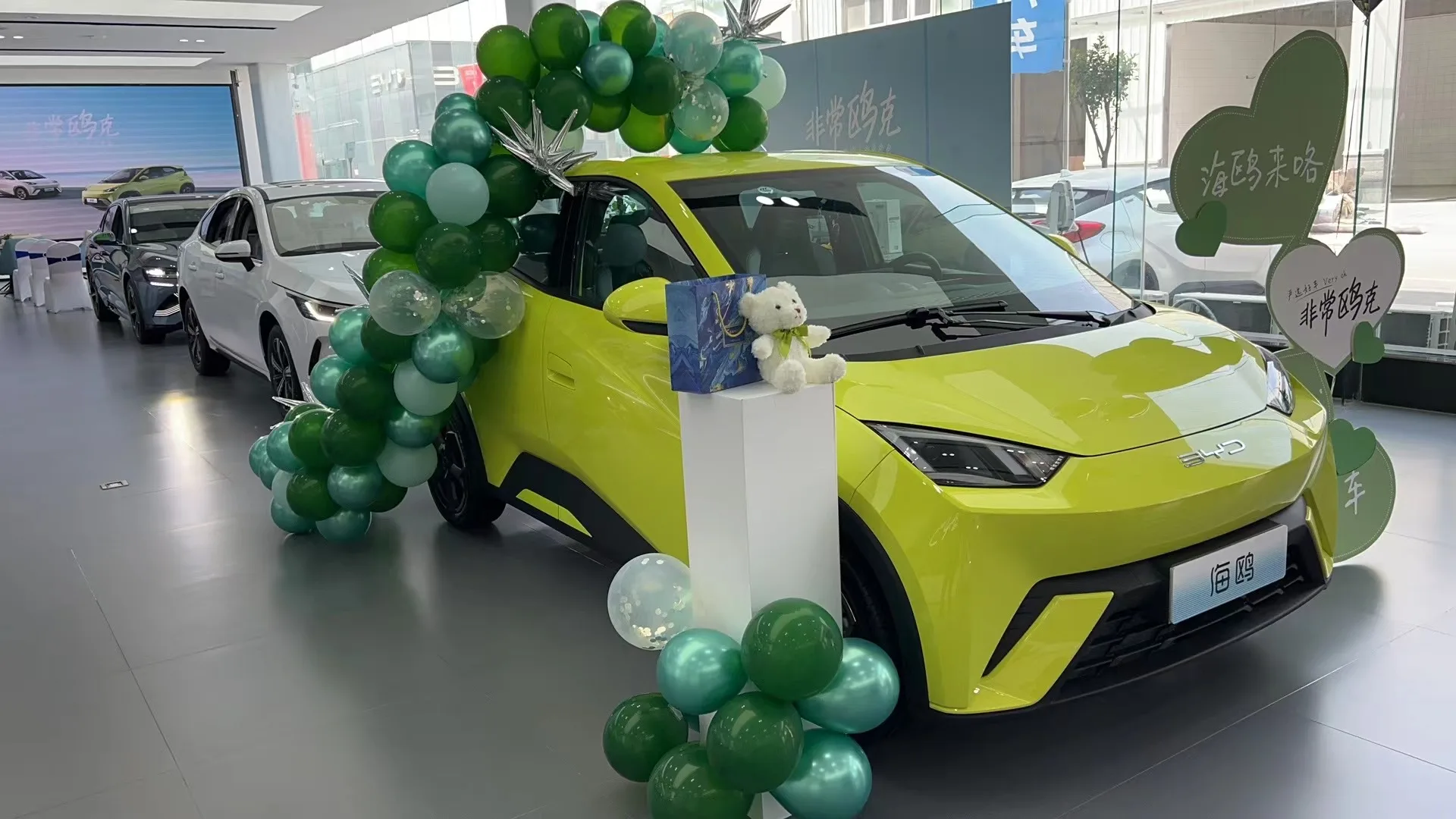 Brand New Byd Seagull New Energy Vehicles Green Color Range 305km Low ...