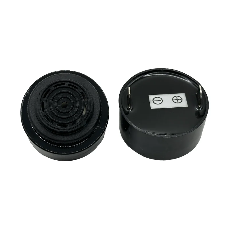 Electric Buzzer Dc 24v Waterproof Piezo Buzzer Siren 4310 43*33mm - Buy ...