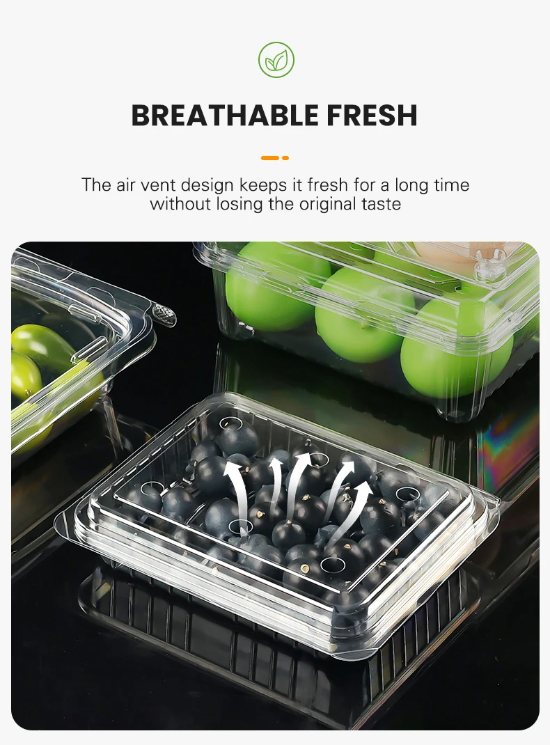 Kiwi Packaging Box with Four or Six Pieces Fruit King Packaging Box ...