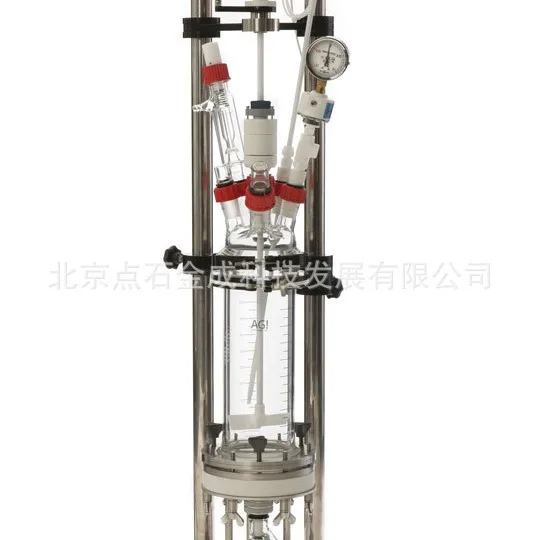 IKA high viscosity reactor 1L pressure filter reactor 0015000287 ...