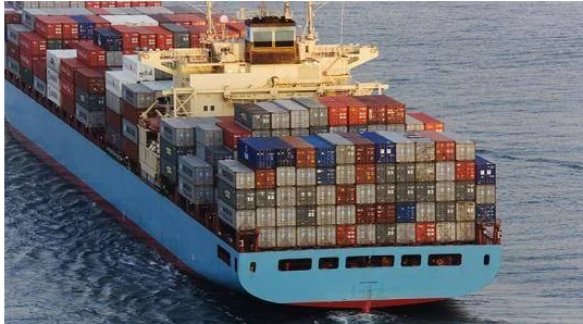 IRAY Veterinary X Ray Detector - 1717XV Inch Digital FPD