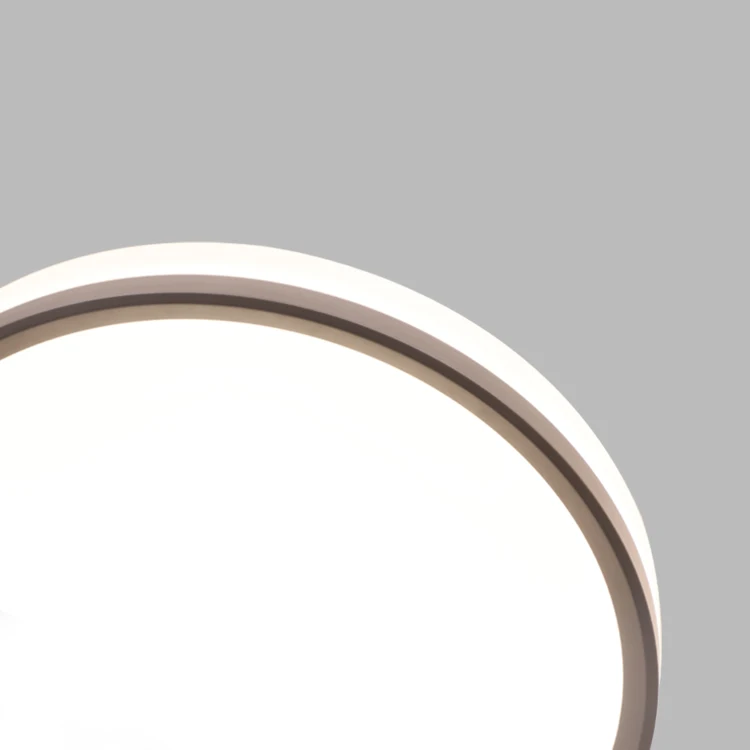Dimmable Ceiling Lamp Northern Europe Aluminum Round Led Ceiling Light ...