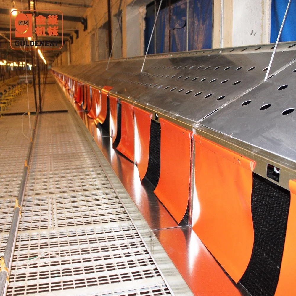 Poultry Farming Automatic Single Side and Double Side Egg Nest Box ...