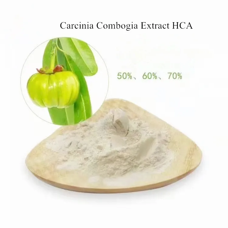 Herbal Extract Supplement Iso9001 Haccp Garcinia Cambogia Extract ...