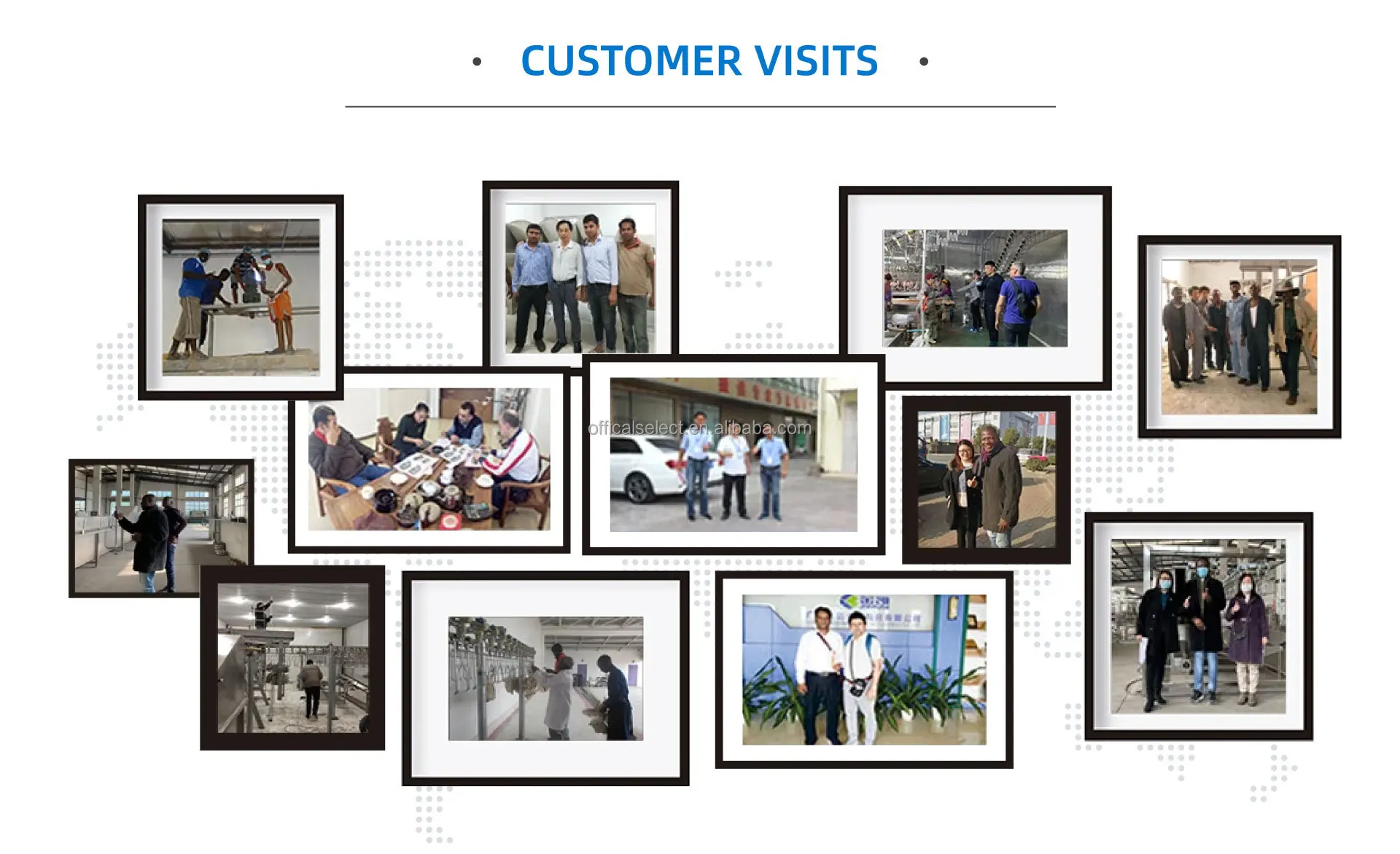 Sea Fish Eel Mackerel Automatic Lengthening Open Back Open Belly ...