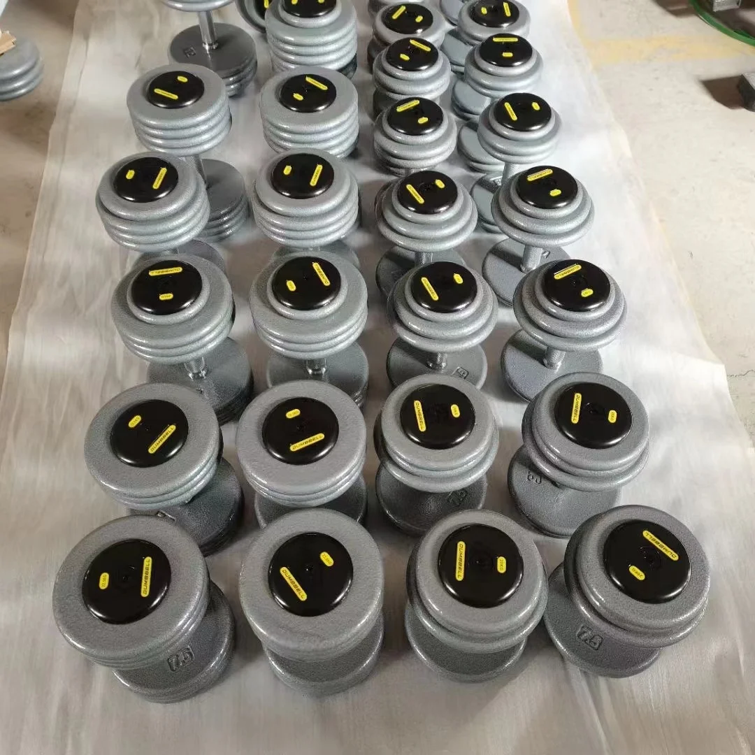 JOLECON Fixed Weights Cast Iron Dumbbell Set for Bodybuilding