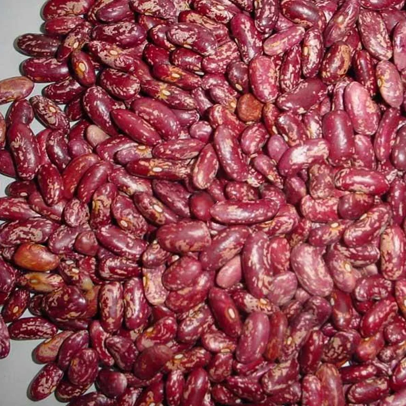Alibaba.com: Nihewan Long Shape Red Beans, Speckled Pinto Kidney Beans ...