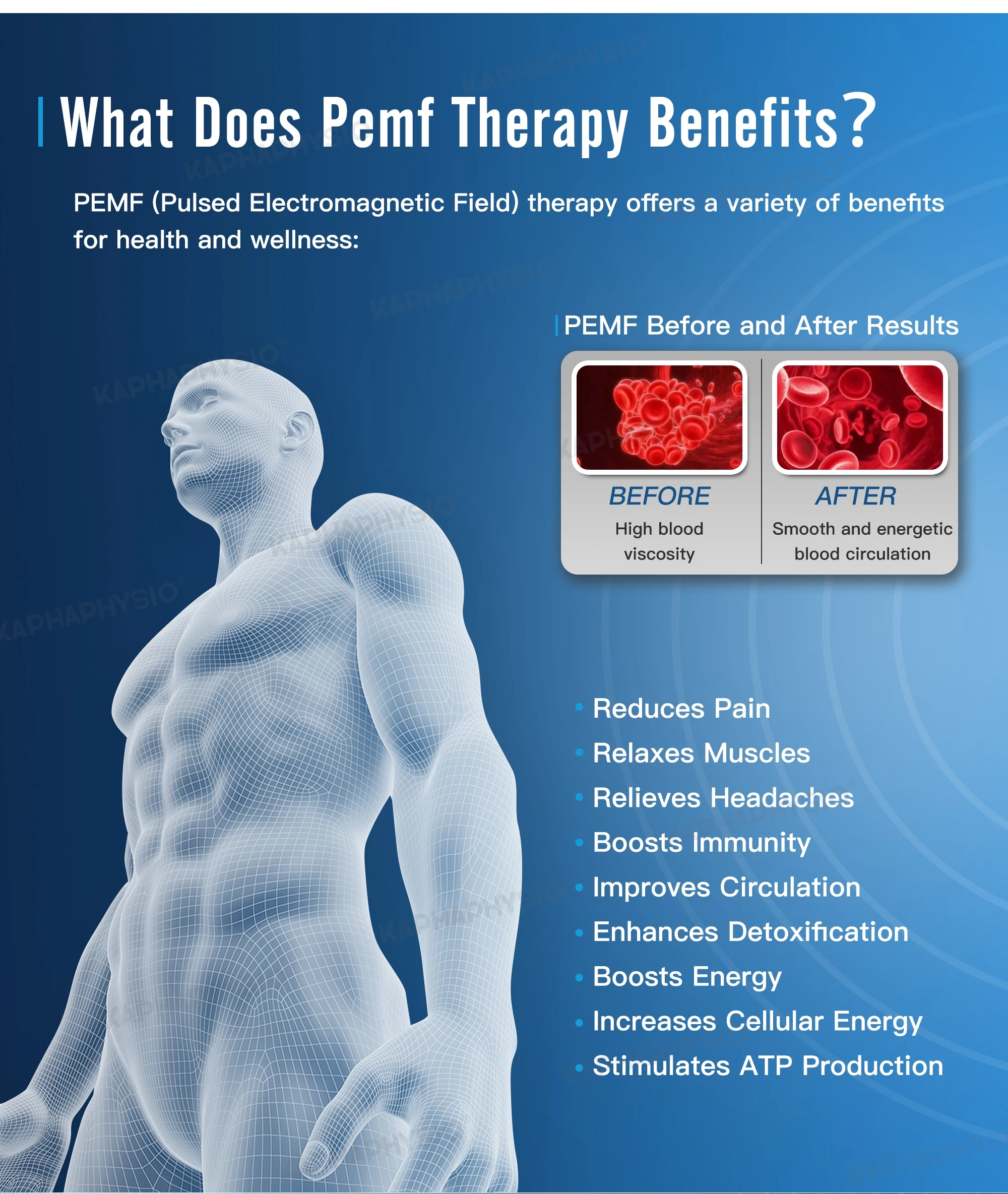 PMST Loop Pro B PEMF Therapy for Horse Pain Relief