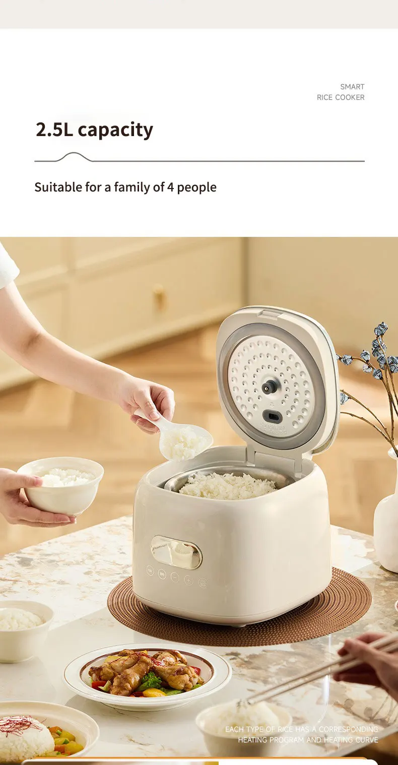 JIASHI 2.5L Mini Portable Rice Cooker - High Quality Cooking