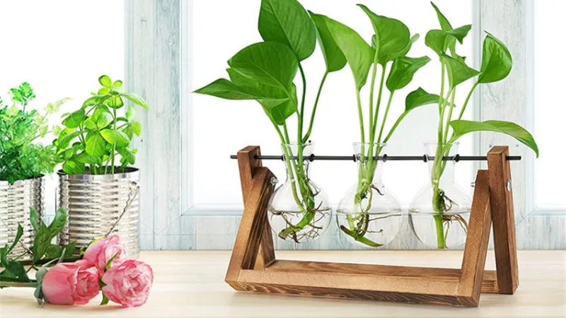 Home Office Decor Bud Mini Air Separation Plant Terrarium Propagation ...