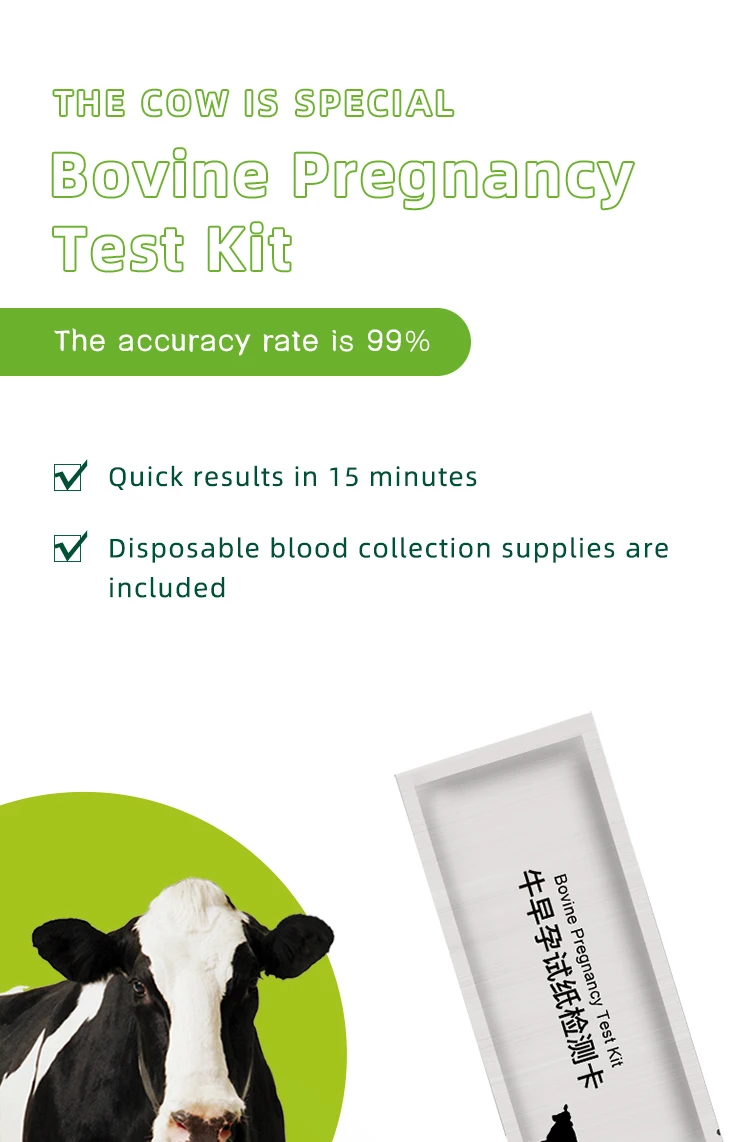 100 Pcs Cow Blood Test for Pregnancy - 99% Accuracy