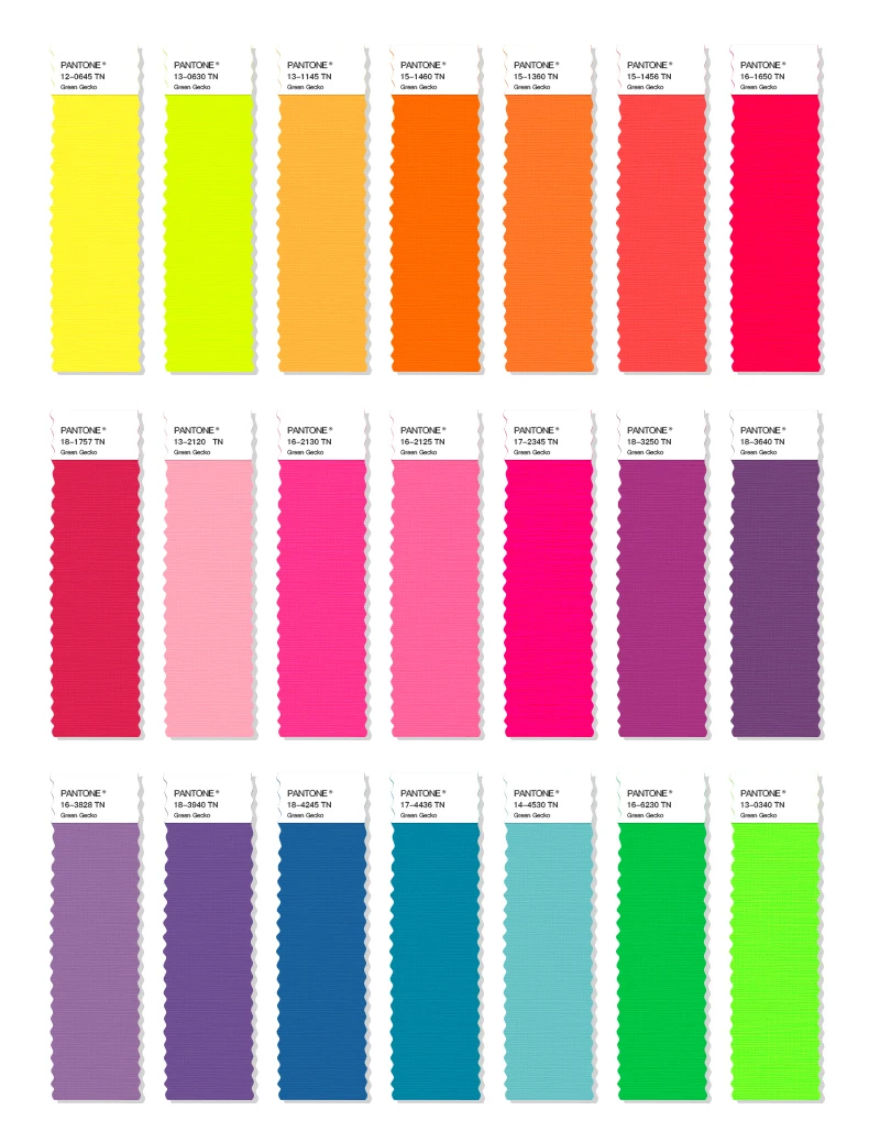 PANTONE Color Card - FFN100 Nylon Brights Set Book