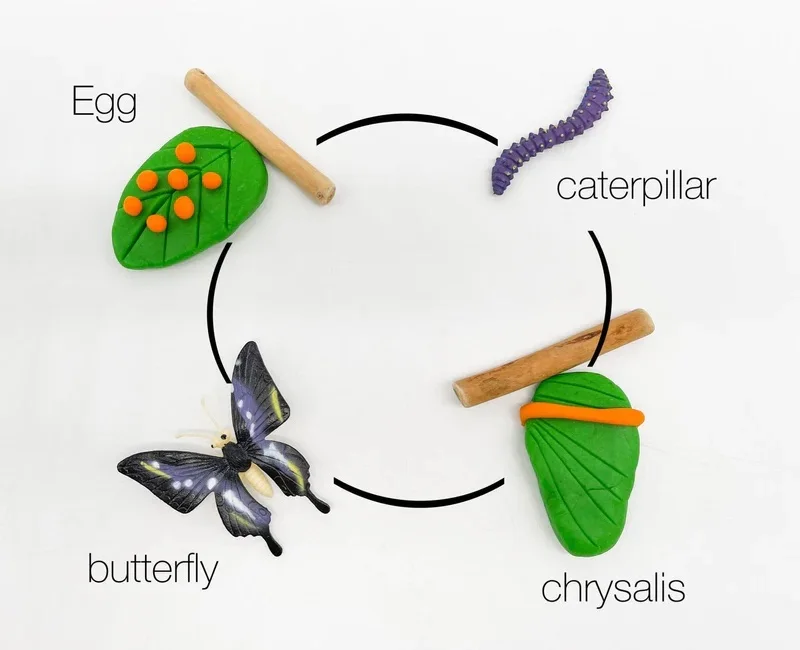 Insect Explorer Kit - Educational Toys with Air Dry Clay