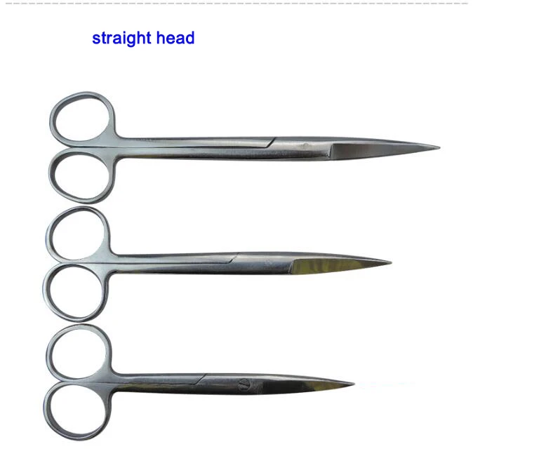 Stainless Steel Veterinary Surgical Scissors & Tools