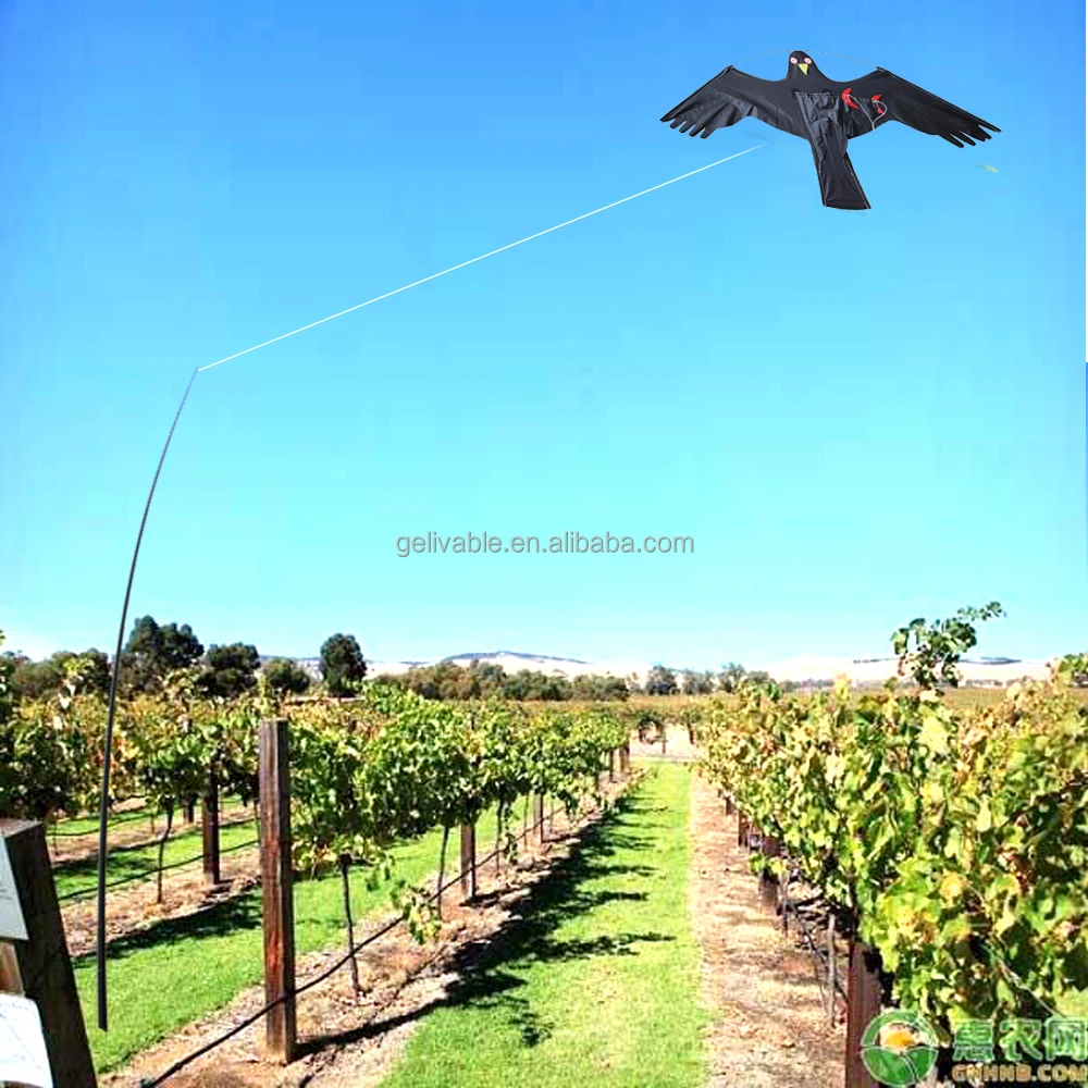 Professional Bird Scarer Hawk Kite Deterrent Farm Sparrow - Buy Bird ...