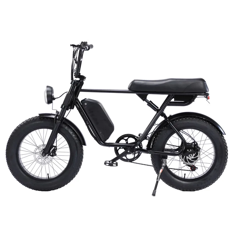 16 Inch 20 Inch Fat Ebike - 36v 72v 250w 500w 1000w Power