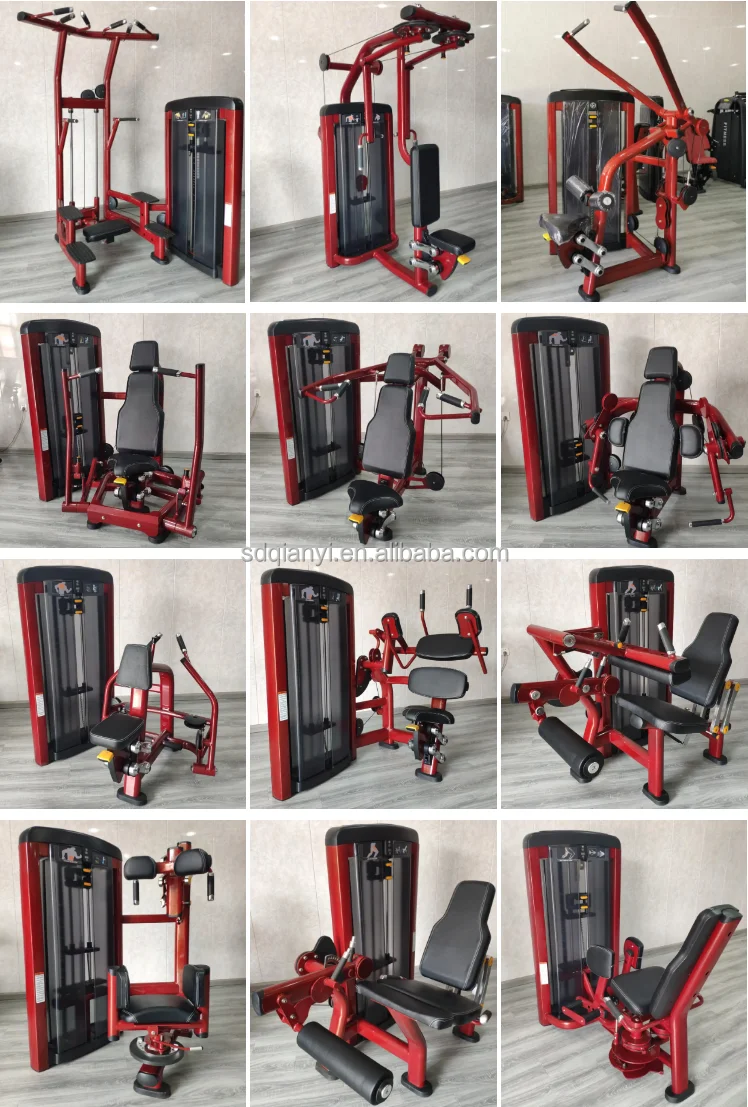 Commercial Seated Biceps Curl Triceps Extension Gym Equipment Biceps ...
