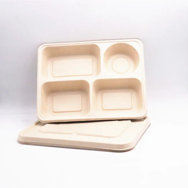 6 Compartment Disposable Plates - Bagasse Sugarcane Trays