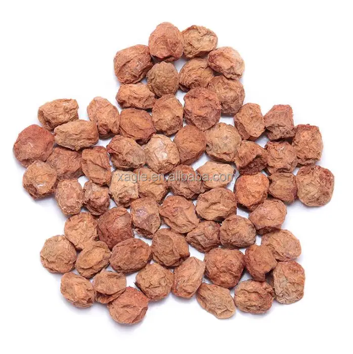 Wholesale Candied Dried Sweet Red Mango Peels - GLE