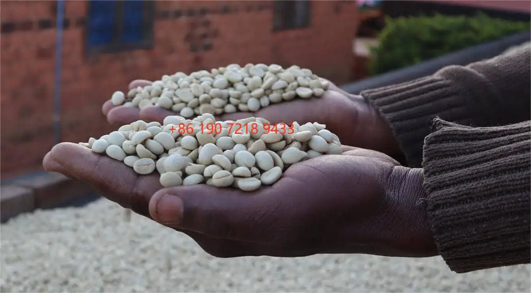 Py Coffee Bean Husk Parchment Skin Removing Machine - Buy Coffee Bean ...