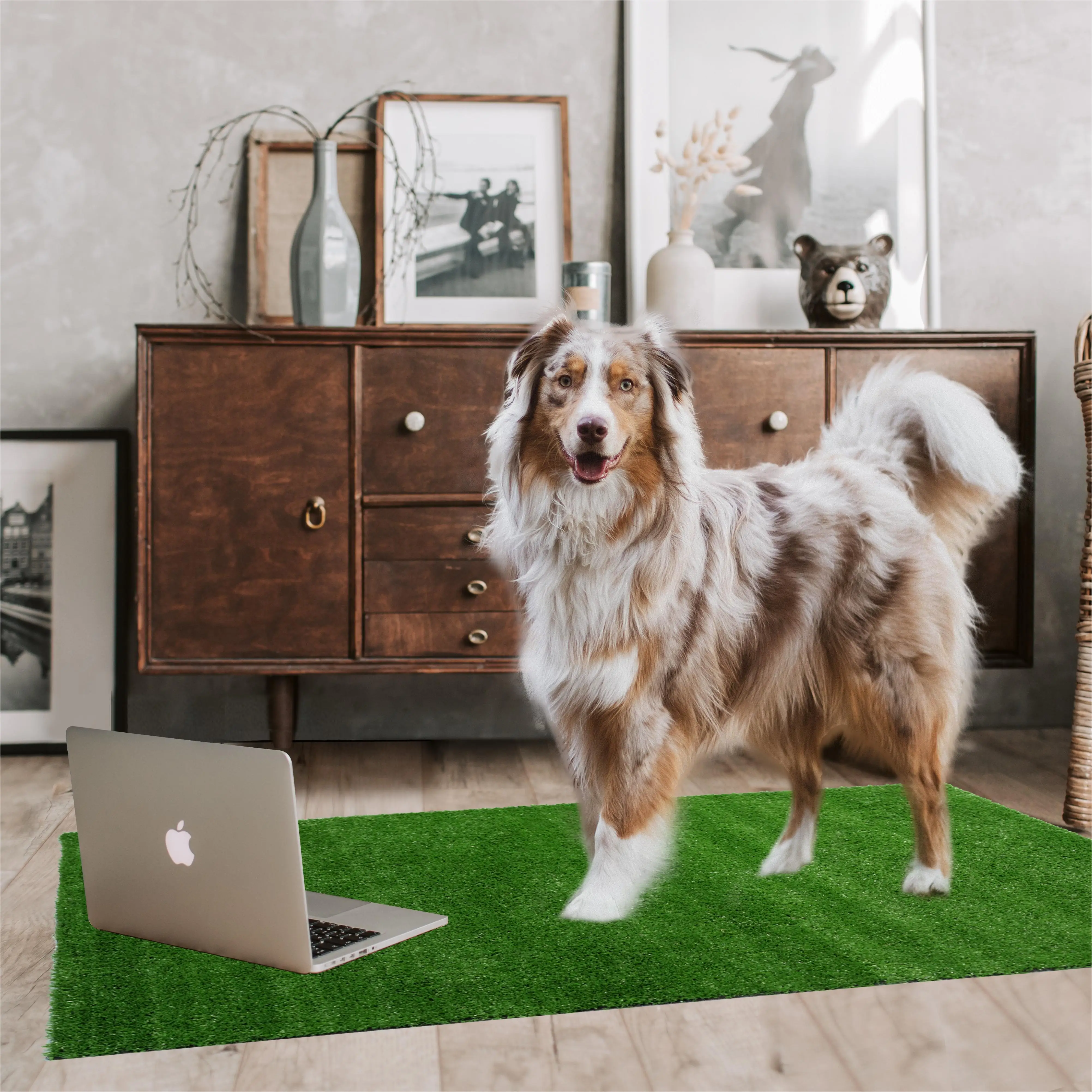 JS 10mm Turf - Durable Synthetic Grass for Gardens & Sports