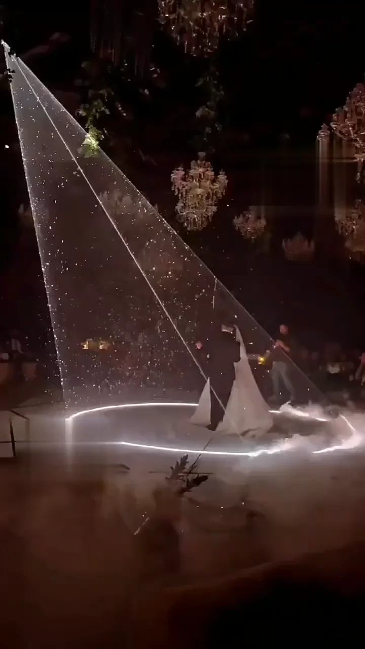 Laser Snow Flake Light Show Dancing Dream Wedding 3w 5w 8w F8 Laser ...