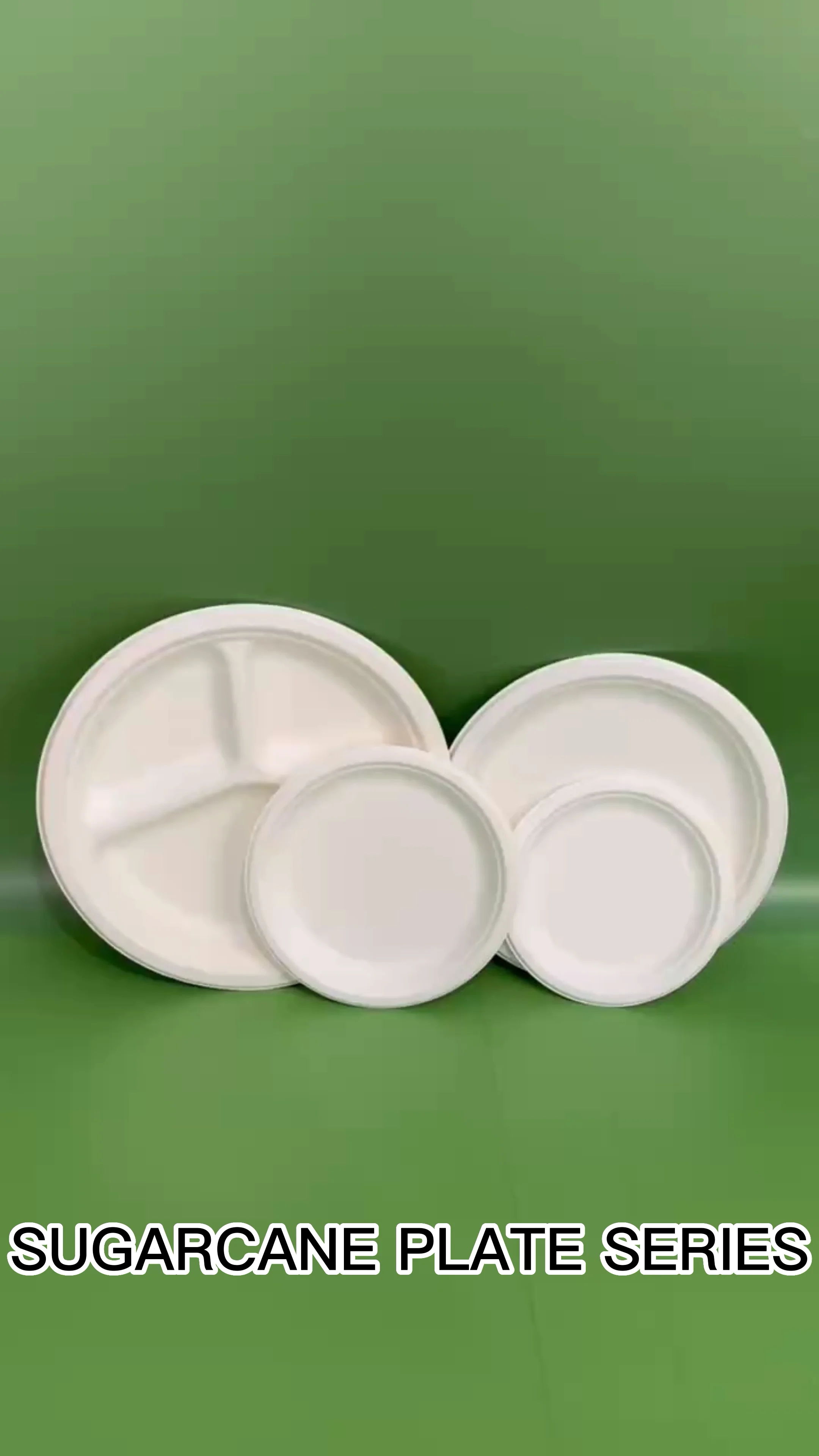 10 Inch Sugarcane Bagasse Pulp Tableware Disposable Plate Cutlery ...