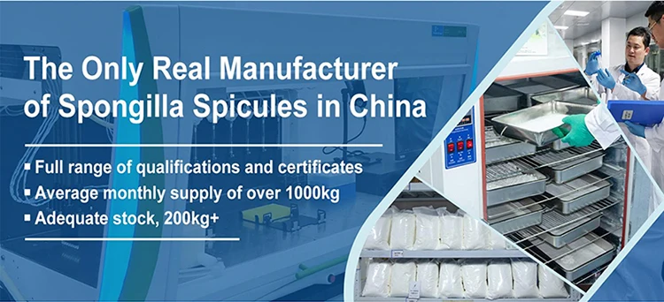 Free Sample Spongilla Spicules - Hydrolyzed Sponge Extract