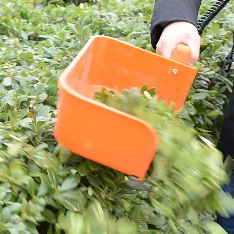 Multifunctional Commercial Tea Harvester Plucking Plucker Picking ...