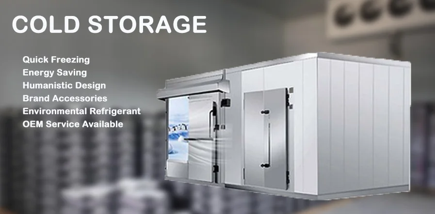 Mobile Container Cold Storage - Efficient Freezing Solutions