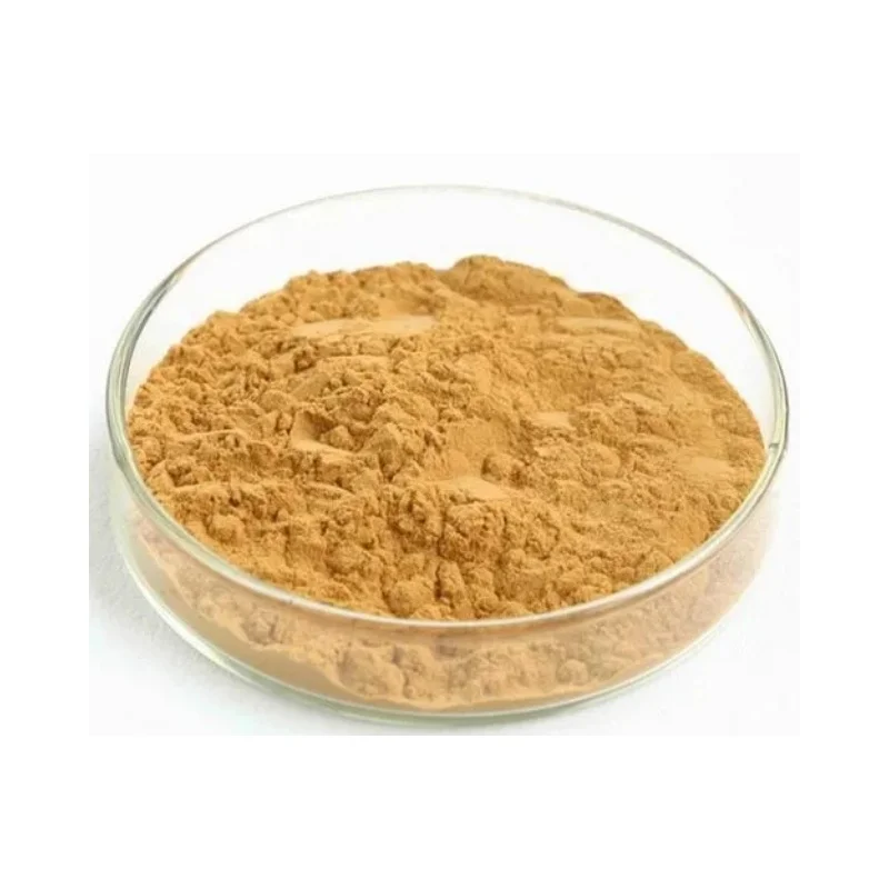 Ophiopogon Japonicus A Plant Of The Lily Family Ophiopogon Root Extract ...