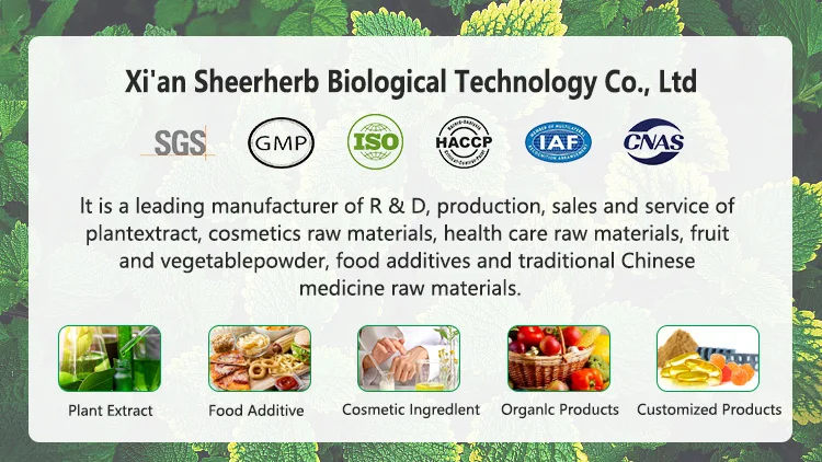 Certified Organic Mushroom Mix Coffee Oem Instant Lion's Mane Mushroom ...