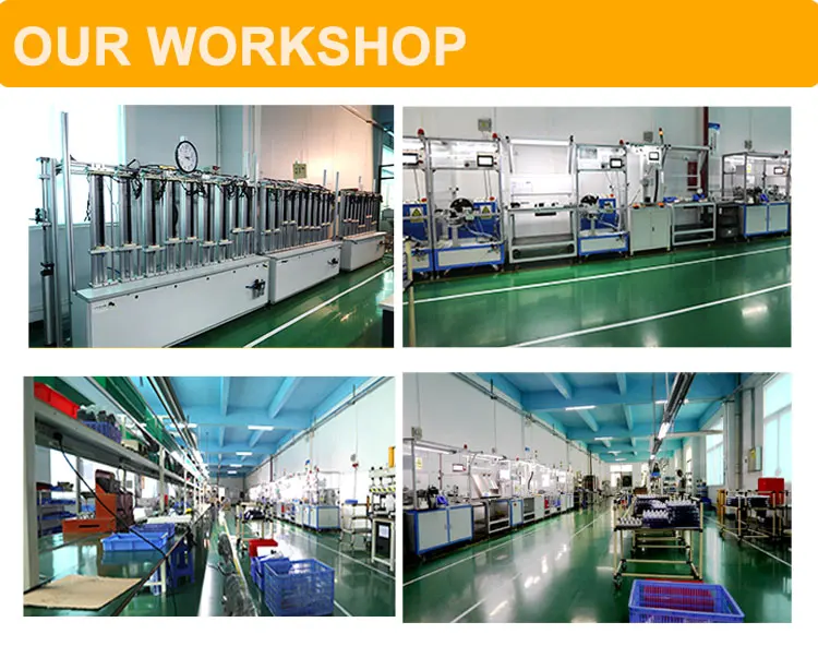 Wholesale Price Tailgate Electric Strut for Land Rover Range Rover ...