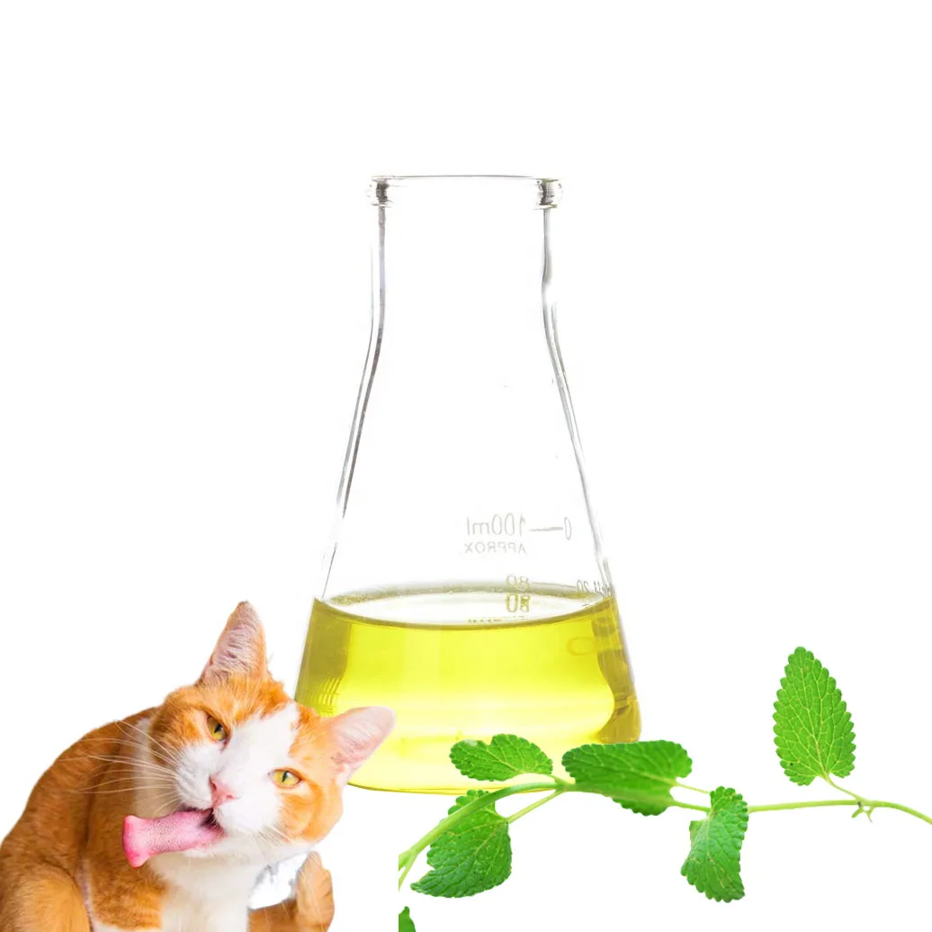 Nepeta Oil - Pure Catnip Essential Oil for Health & Wellness