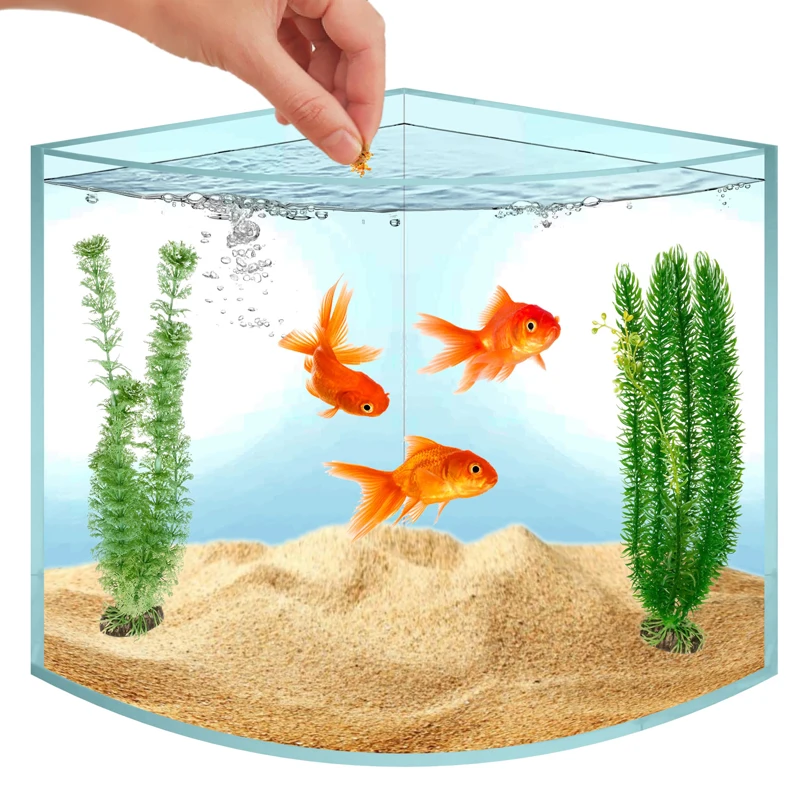 Corner Aquarium Small Fish Tank 1.71 Gallon Acrylic Saltwater Fish ...