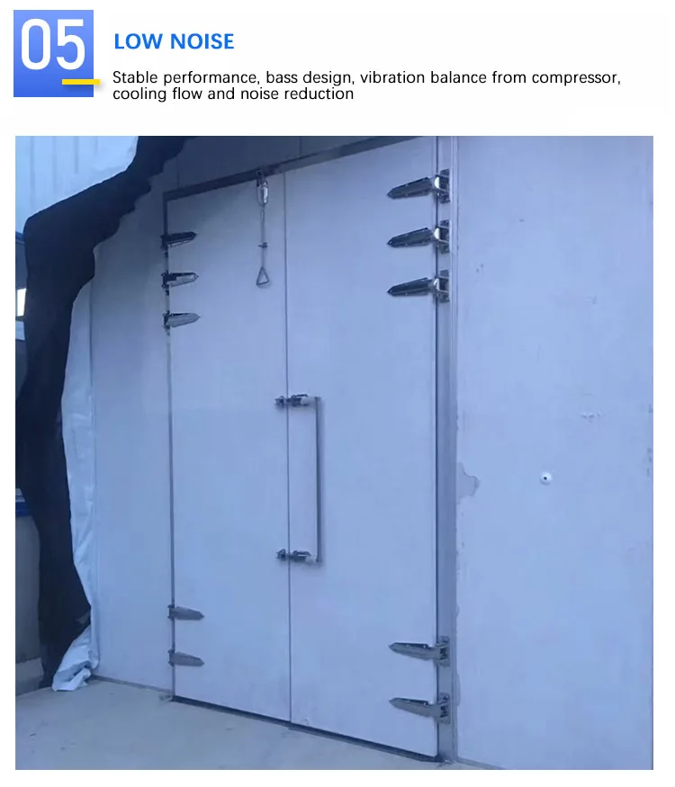 Factory Custom Replaced Walk In Freezer Door Walk In Cooler Doors Cold ...