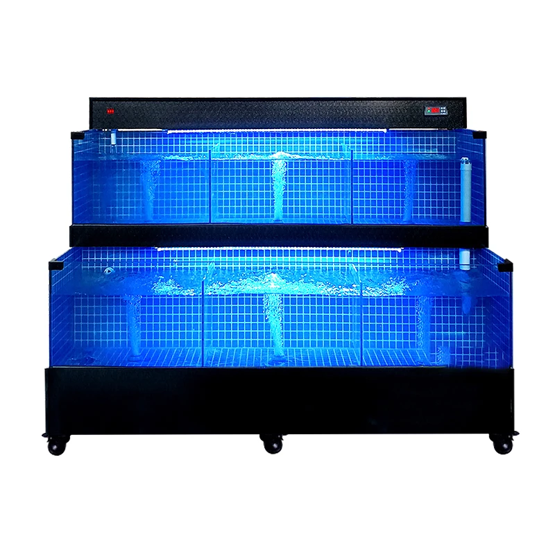 Live Lobster Farming Tank - Sustainable Fish Tank Solutions