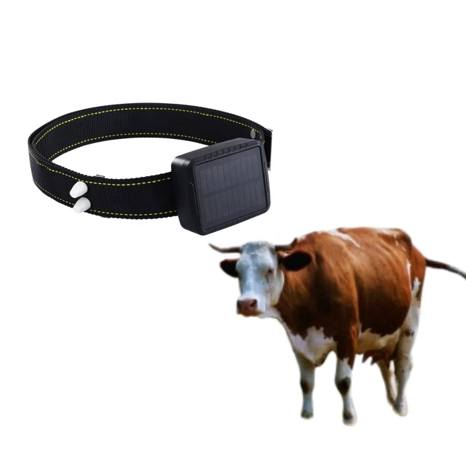 Animal Tracker 4g Cattle And Sheep Locator Collar Animal Tracker Gps Real-time Tracker Gps ...