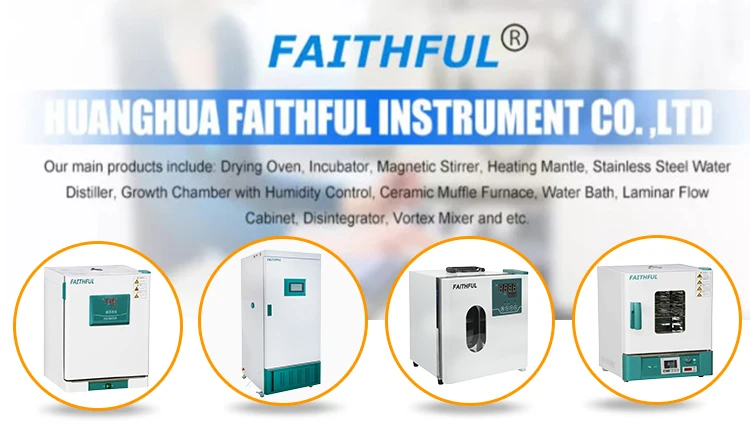 SPX-150BIII Cooling Incubator/bod Incubator - 150L Capacity