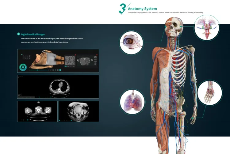 Human Virtual Anatomy Table - 3D Dissection for Medical Science