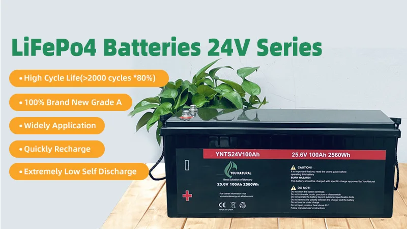 24v 100ah Lifepo4 Battery Rechargeable 24v Lithium Battery Oem Odm 24v ...